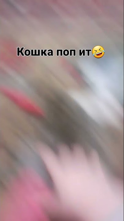 кошка поп ит😅 - YouTube
