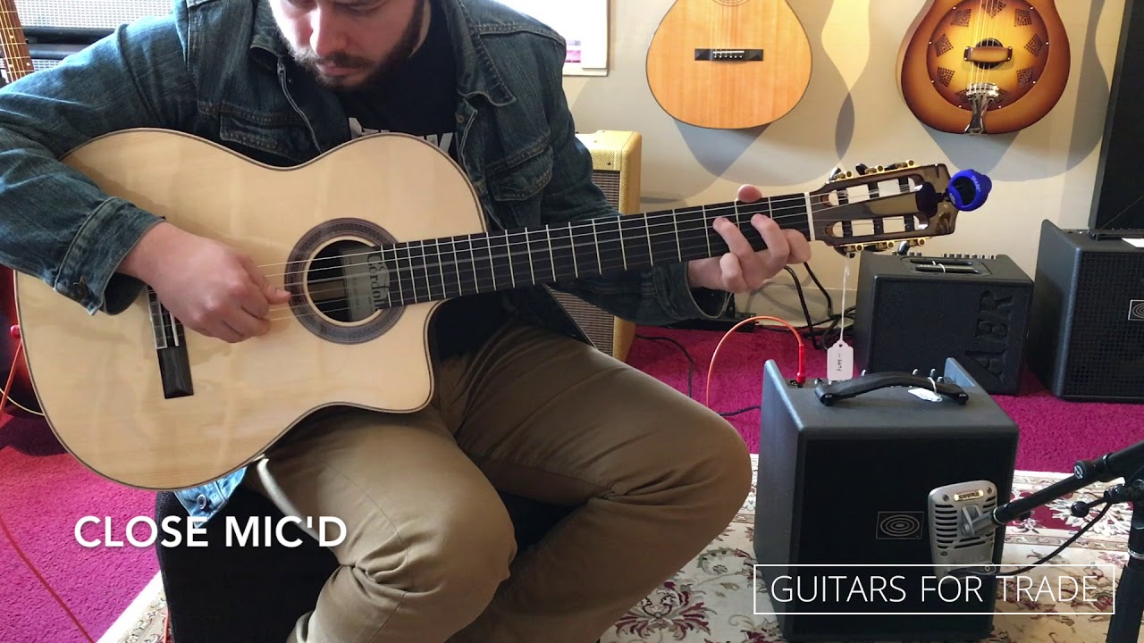 Fishman Presys Blend - YouTube