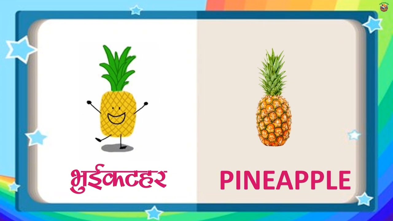 15 Name Of Fruits In English And Nepali // १५ फलफूलहरूको नाम // #fruit ...