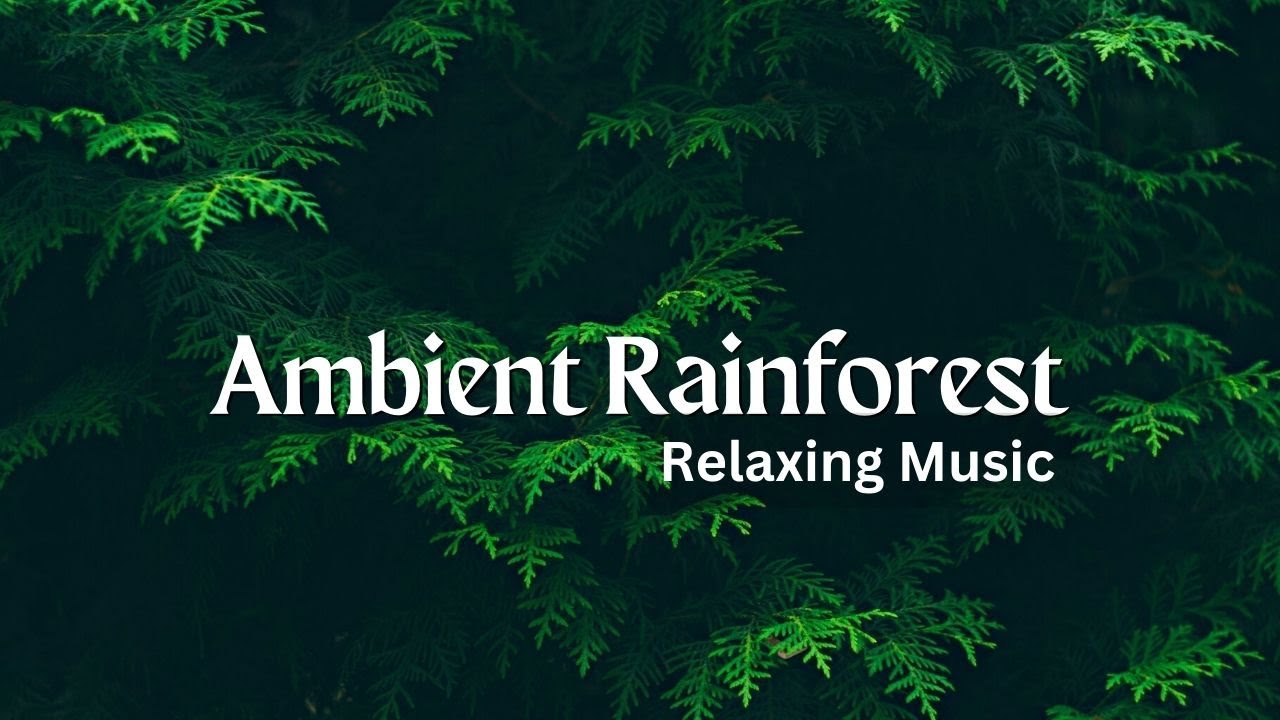 Ambient Rainforest - Relaxing Rainforest Music for Insomnia, Meditation ...
