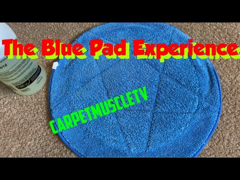 One step Blue pad Extraction. Vlm carpet cleaning. - YouTube
