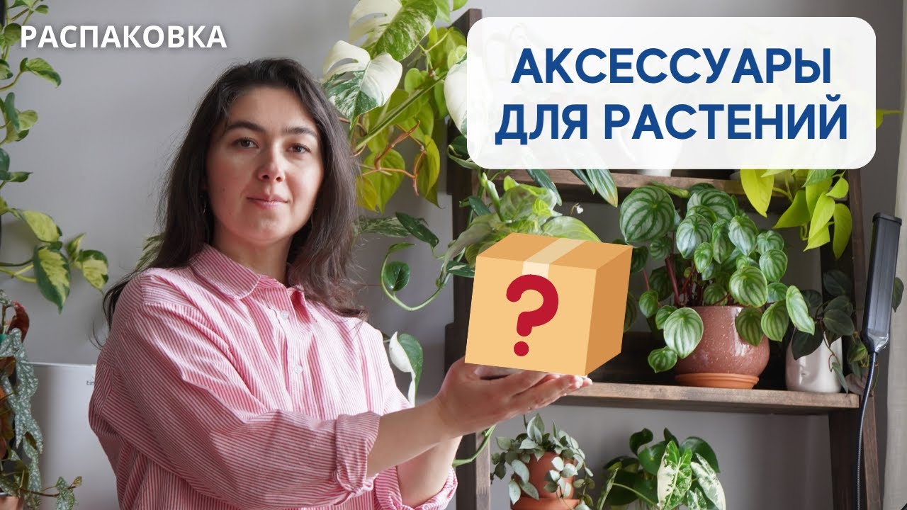 РАСПАКОВКА посылки от Plant*Secrets + ПЕРЕСАДКА растения - YouTube