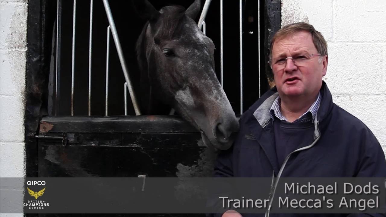 BCS TV | Michael Dods updates on Mecca's Angel - YouTube