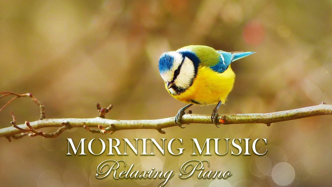 Beautiful Morning Music - Positive Emotions And Energy - Peaceful ...