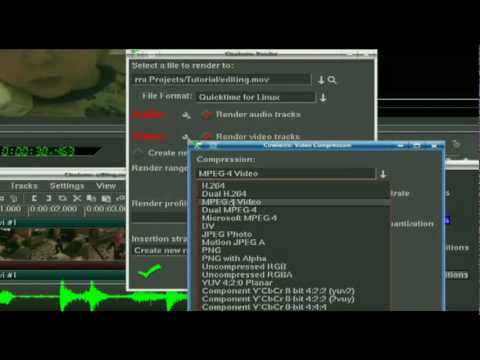 Basic Editing in Cinelerra Pt. 5 - YouTube