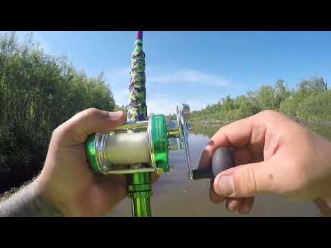 CATFISHING the Iowa river - YouTube