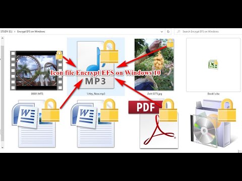 Cách mã hóa và giải mã EFS file trên Windows - YouTube