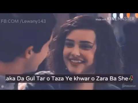 Laka da gul tar o taza ye whatsapp status