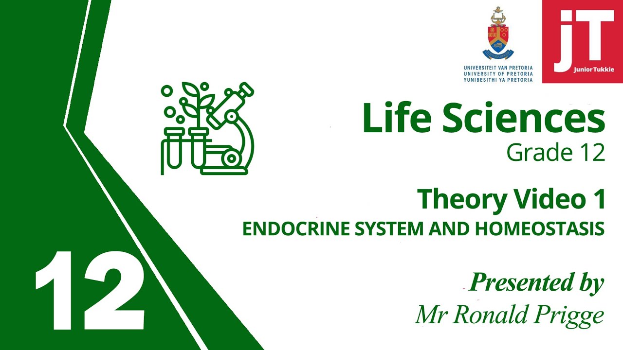 1 Gr 12 - Life Sciences - Endocrine System - Theory Video 1 - YouTube