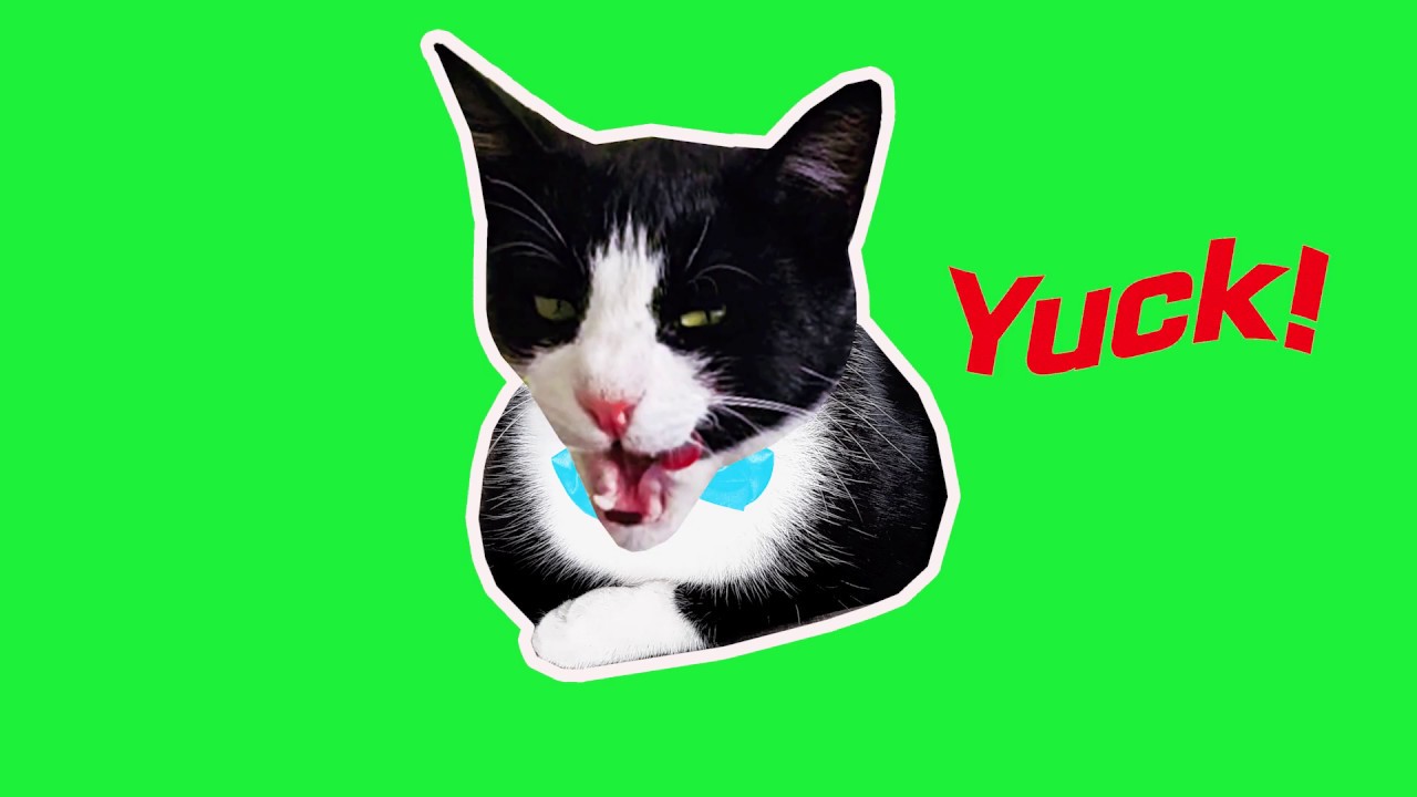 Yuck chroma key green screen animation effect - YouTube