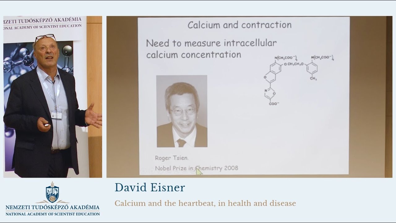 David Eisner - Calcium and the heartbeat, in health and disease - YouTube