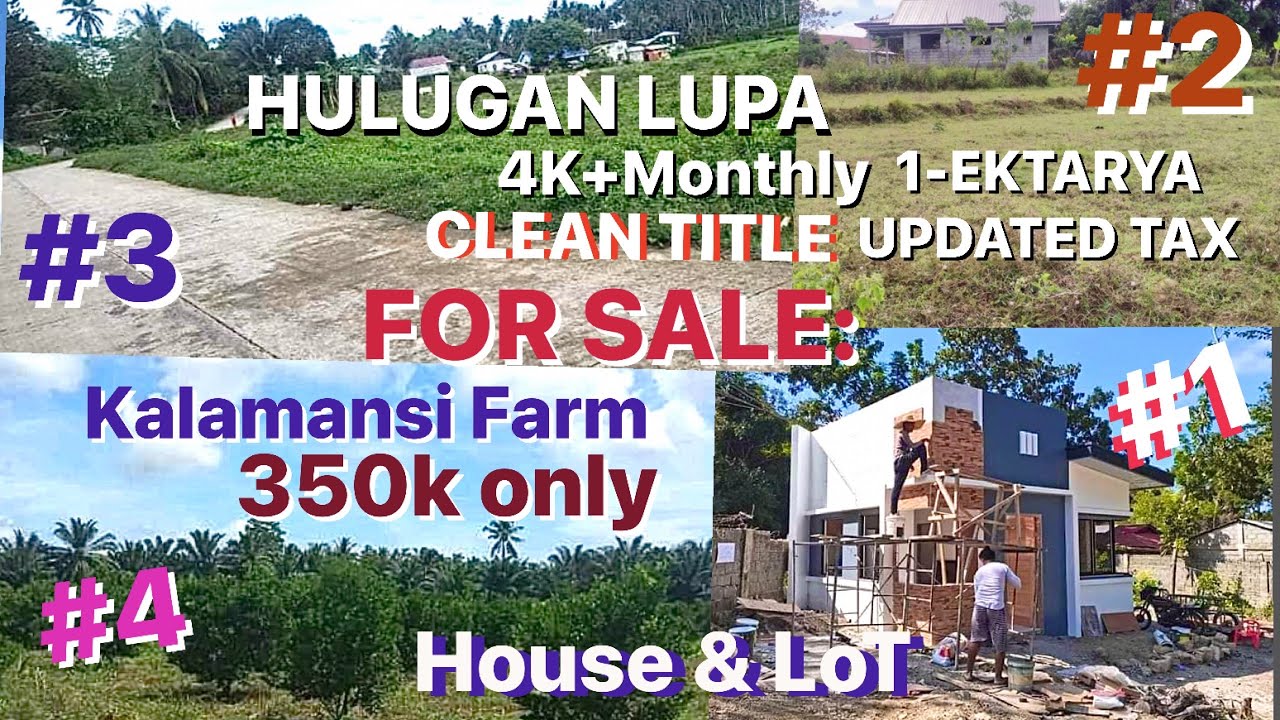 350kKalamnsi Farm/4k+Monthly Hulugan Lupa+House&Lot Clean Title Updated ...