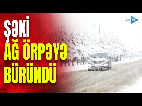 Şəkiyə bir gecə ərzində görün nə qədər qar yağıb – GÖRÜNTÜLƏR