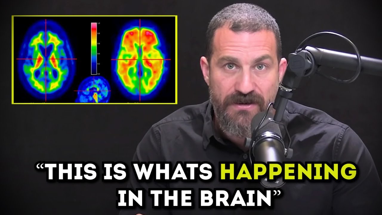 Neuroscientist: How meditation makes your brain "feel" thoughts ...