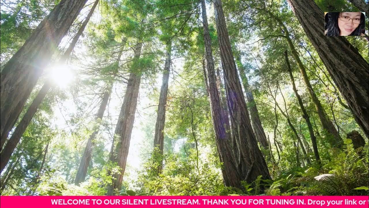 SILENT LS...WELCOME PO KAYONG LAHAT PASOK LANG PO KAYO - YouTube