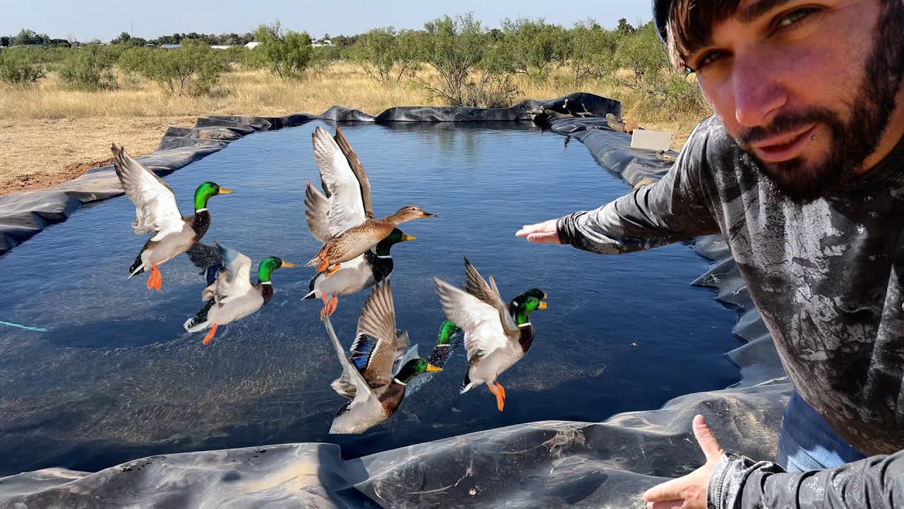 BUILDING A MASSIVE DUCK POND! - YouTube