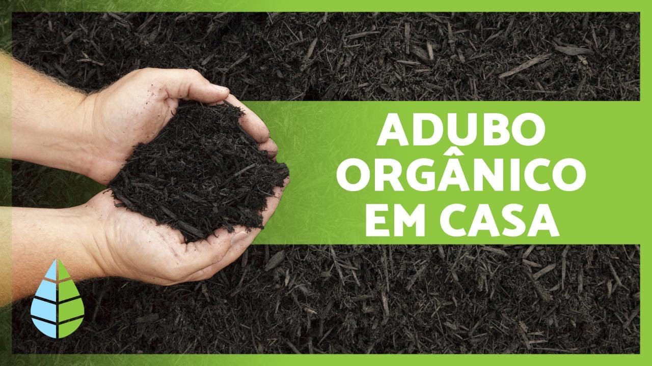 Como fazer ADUBO ORGÂNICO CASEIRO 🌱 + Os melhores fertilizantes ...