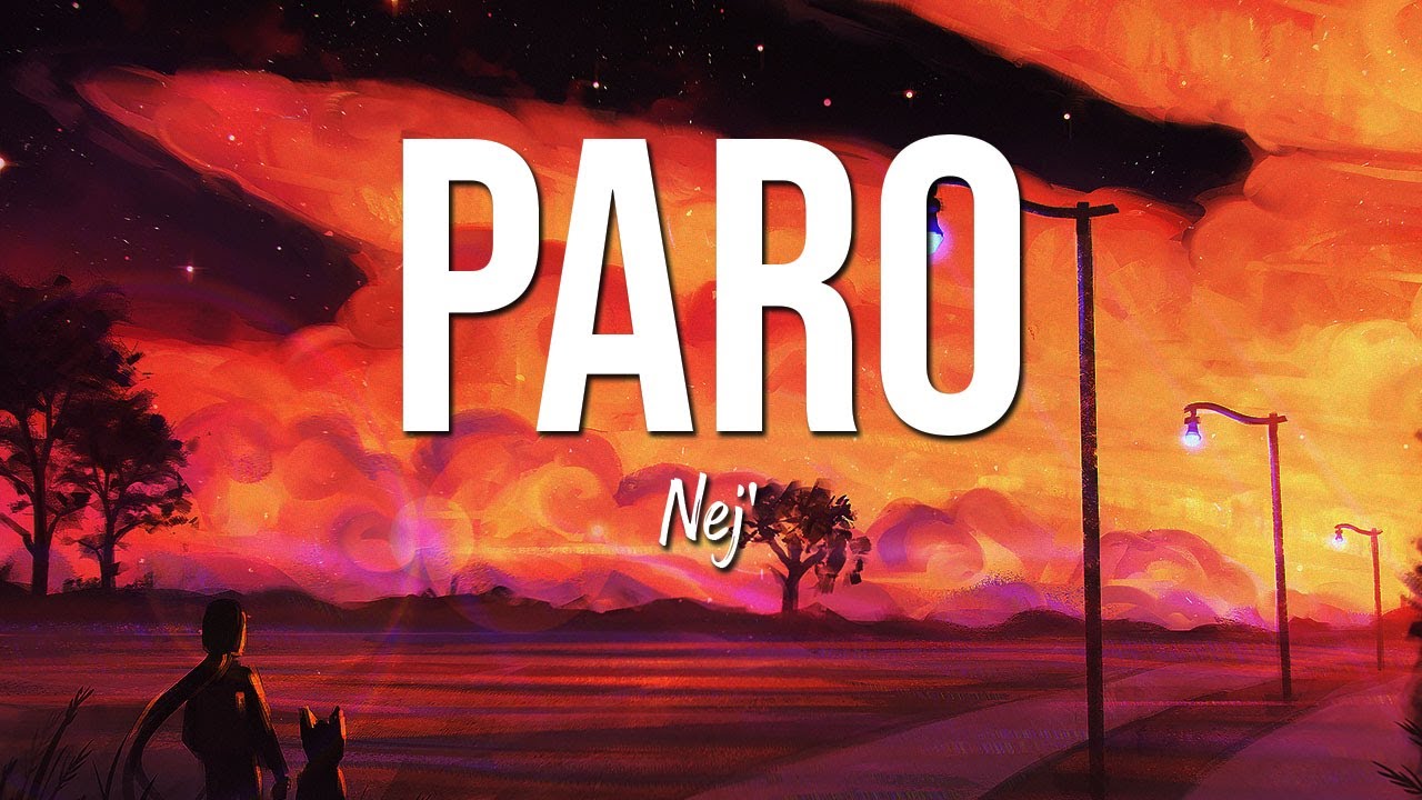 Nej' - Paro Lyrics (Lyrics) - YouTube