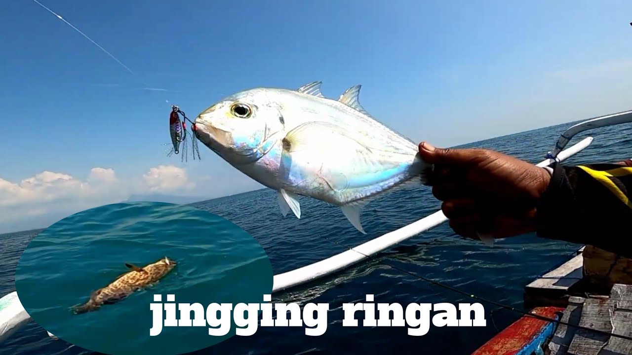 IKAN KERAPU BESAR - ULTRALIGHT JIGGING - YouTube