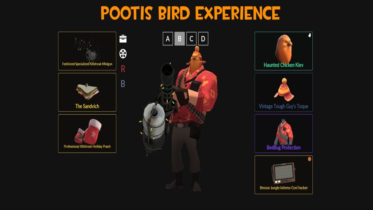 (TF2) Pootis Bird Experience - YouTube