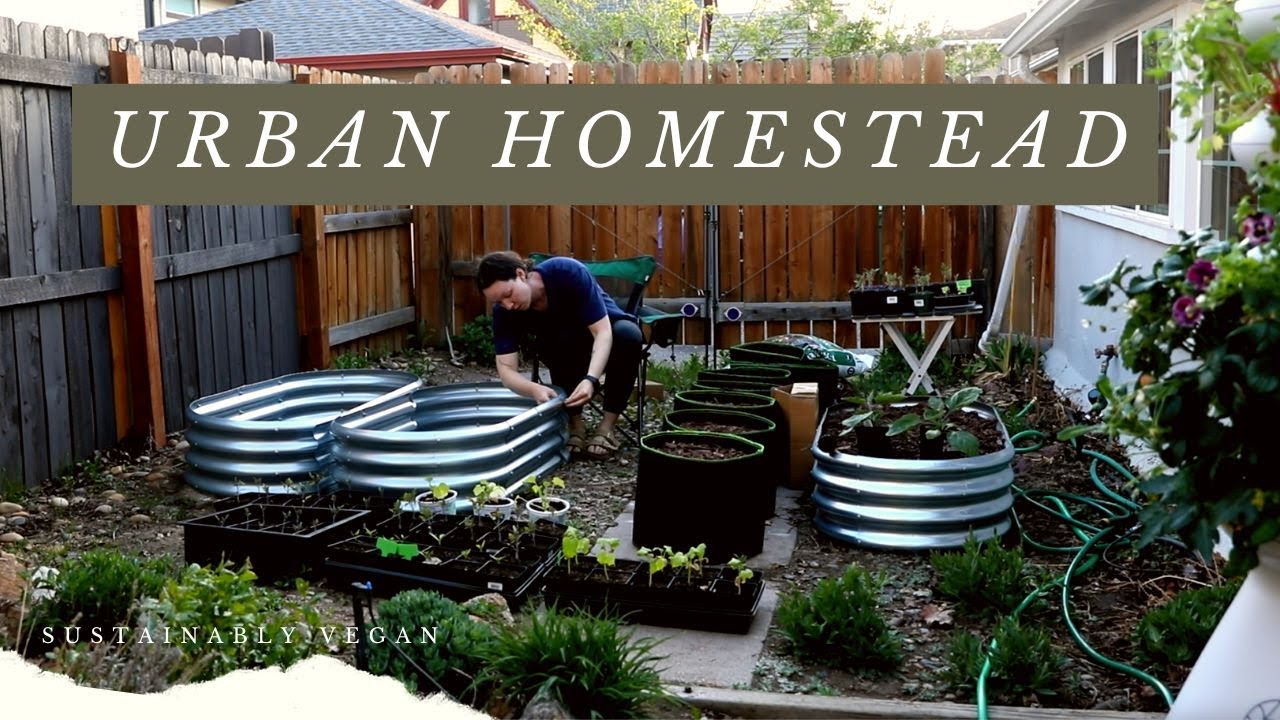 Turning a parking space into an urban homestead - YouTube