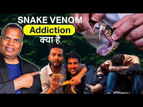 सांफ के जहर की लत - आसान भाषा में समझे by Dr. Ramesh Chandra - Snake ...