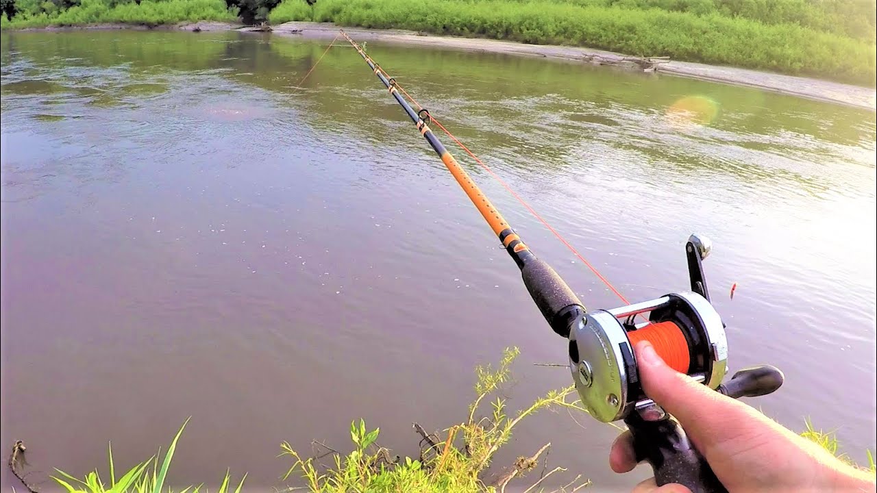 Flathead Fishing On A Small Stream! - YouTube