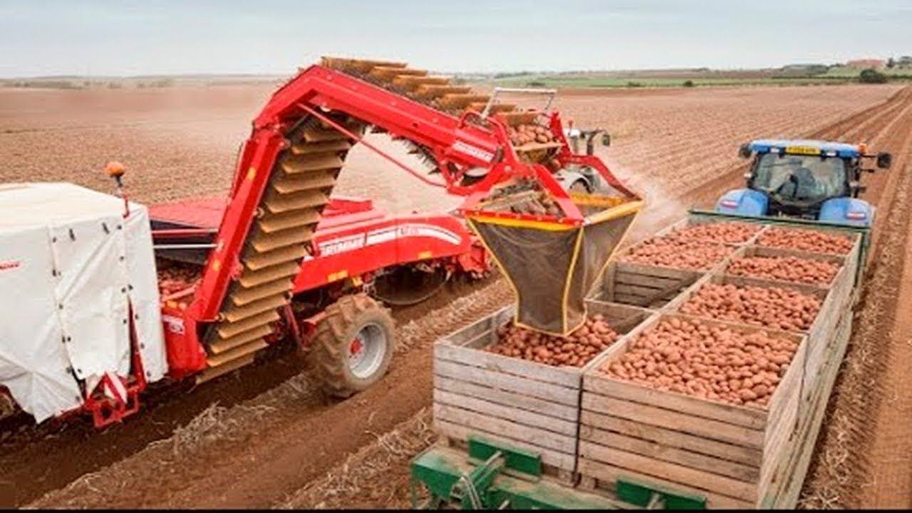 The World's Most 5 Powerful Combines potato Harvesters Machines Grimme ...