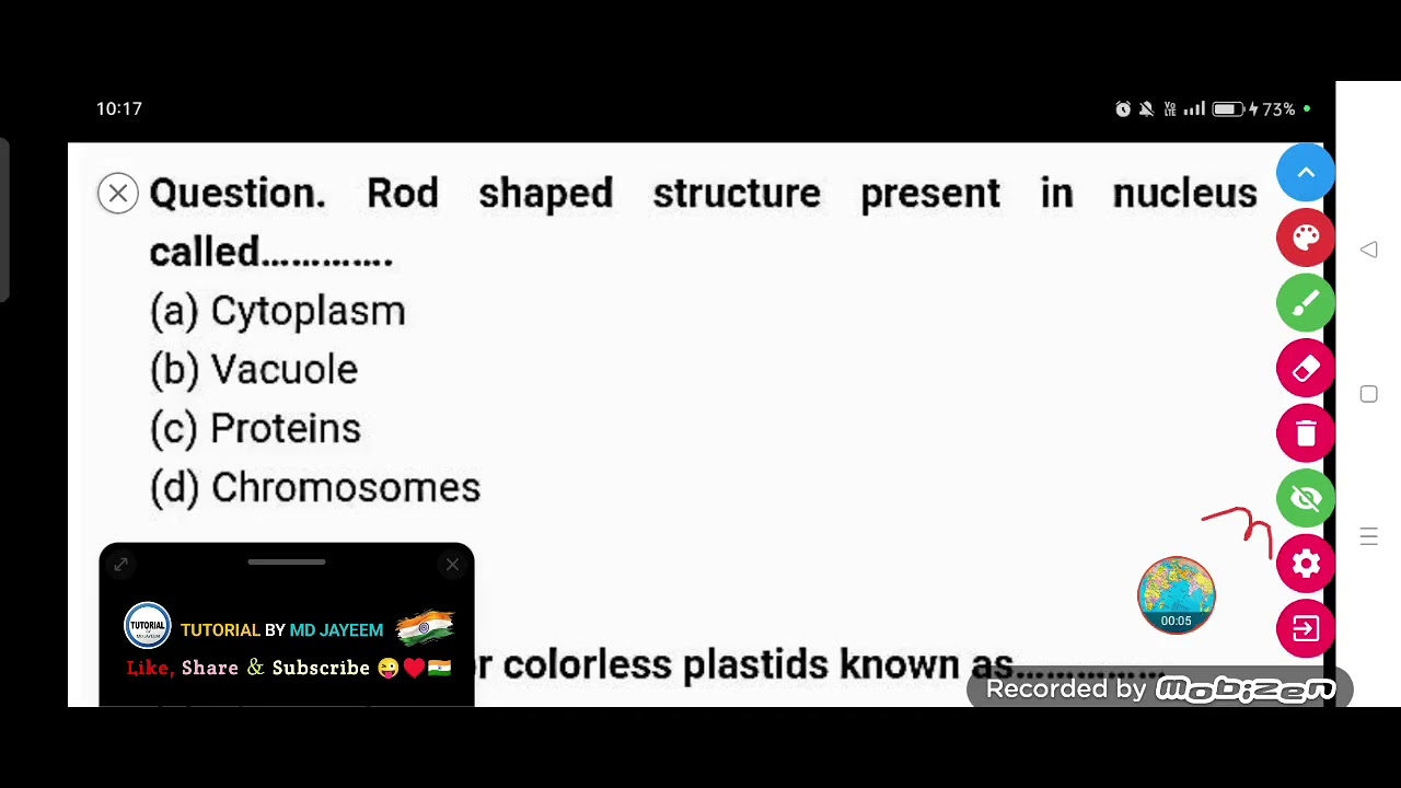 Rod shaped structure present in nucleus called. - YouTube