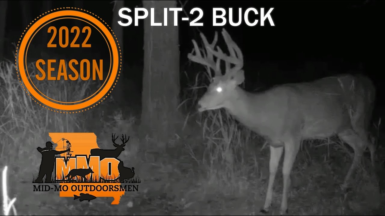 Split-2 Buck - YouTube