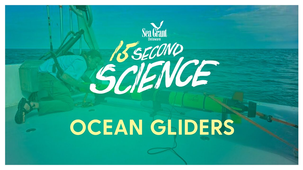 Ocean Gliders— #15SecondScience - YouTube