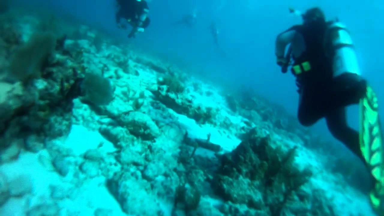 Crocker Reef - YouTube