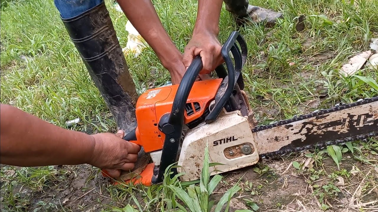 STHILL MS250 - motosierra *Árbol de Aguacate* / Loren15YT - YouTube