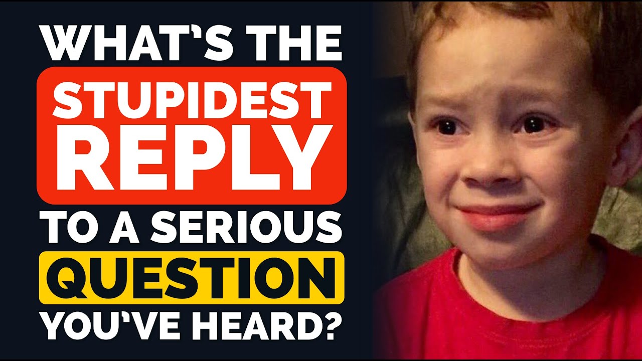 What s The STUPIDEST Reply To A Serious Question That You ve Heard what-s-the-stupidest-reply-to-a-serious-question-that-you-ve-heard