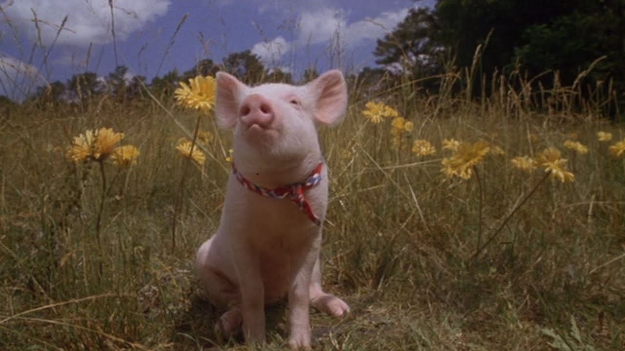 Opening To Gordy 2011 DVD (Single Disc Only) - YouTube