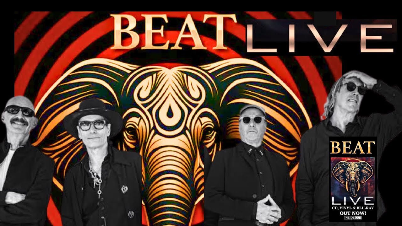 BEAT- KING CRIMSON REVISITADO- UMA EXPLOSÃO SONORA!! - YouTube