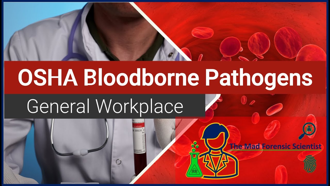 OSHA Bloodborne Pathogens Training mini session - YouTube