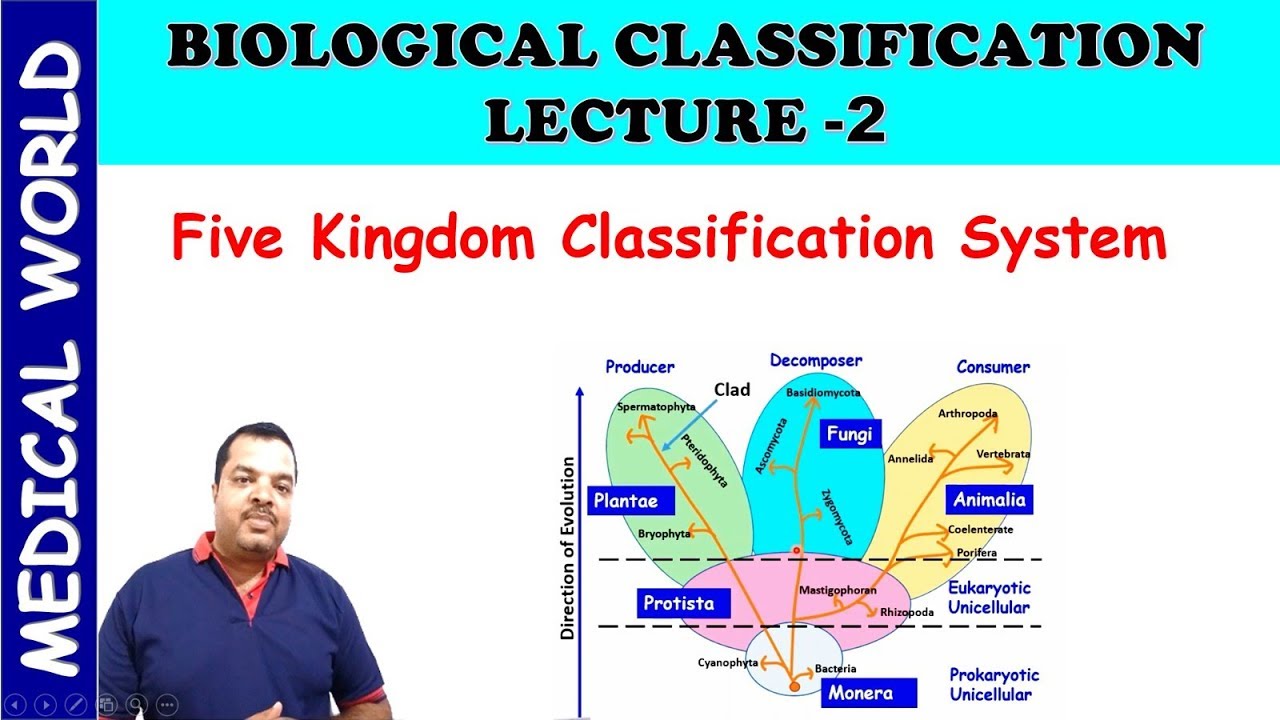 WHITTAKER’S FIVE KINGDOM CLASSIFICATION SYSTEM | BIOLOGICAL ...