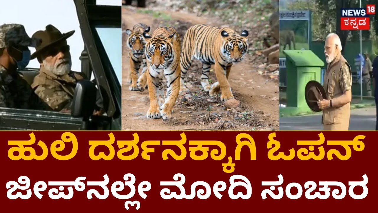 PM Modi Jungle Safari In Bandipur | Bandipur National Parkನಲ್ಲಿ ಮೋದಿ 22 ...