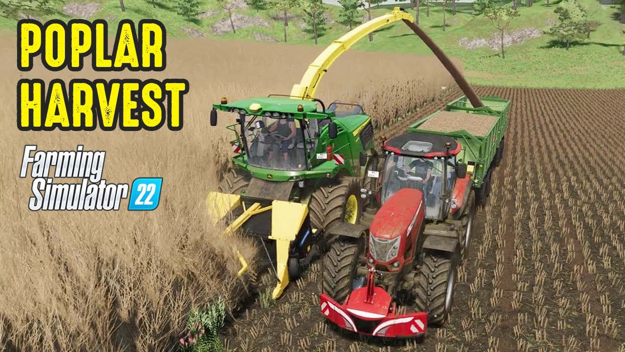 POPLAR HARVEST WITH JOHN DEERE 9900 | FARMING SIMULATOR 22 - YouTube