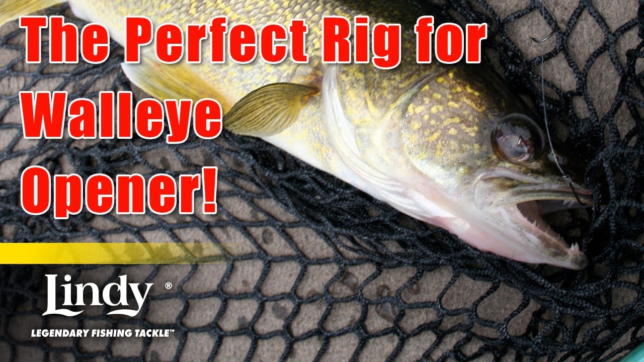 The Perfect Bait Rig for Walleye Opener - Lindy Fishing Tackle - YouTube