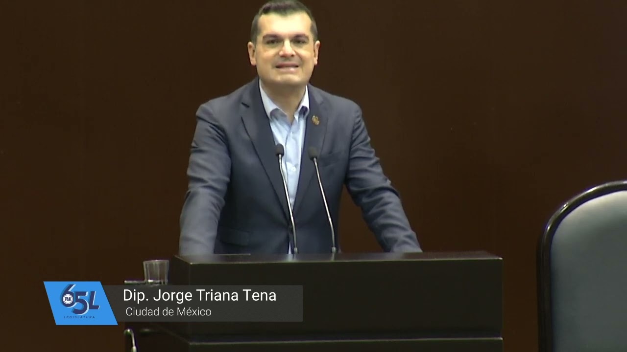 Dip Jorge Triana Tena intervención en tribuna 06 09 2022 - YouTube