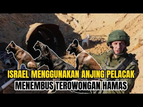 TERBARU, ISRAEL KERAHKAN ANJING PELACAK YANG TERLATIH UNTUK MENEMBUS ...