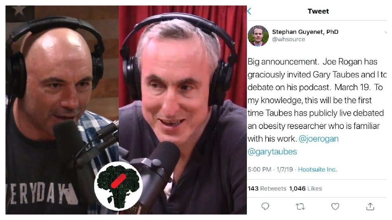 Joe Rogan Gary Taubes Debate Stephan Guyenet - YouTube