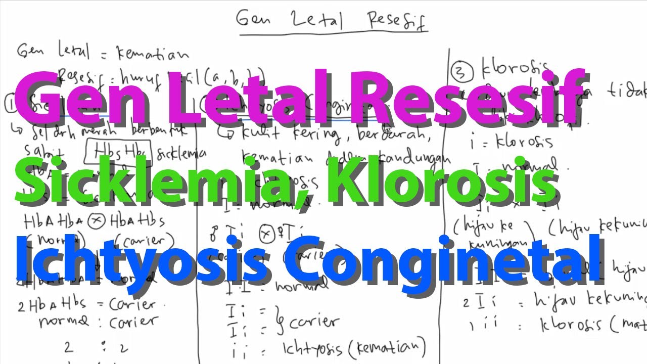 Gen Letal Resesif ( Sicklemia, Ichtyosis, dan Klorosis) - YouTube