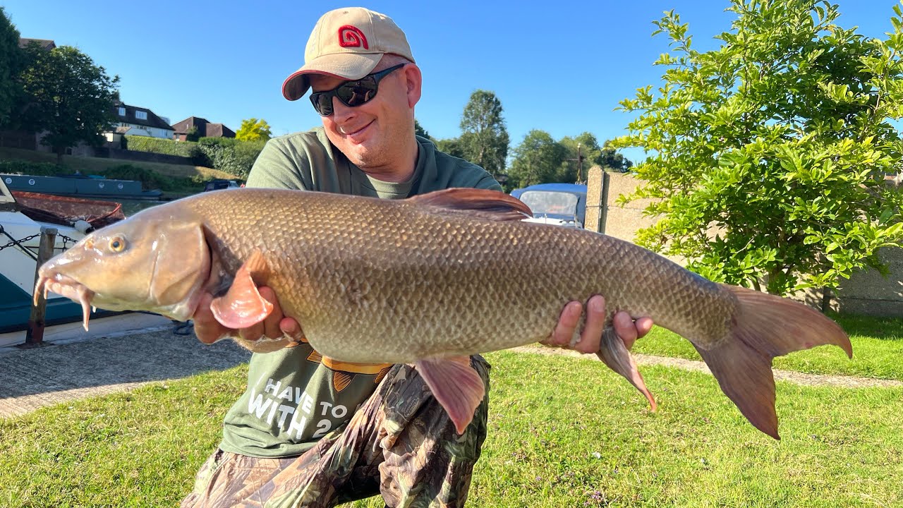 River Thames Barbel 28/7/24 - YouTube