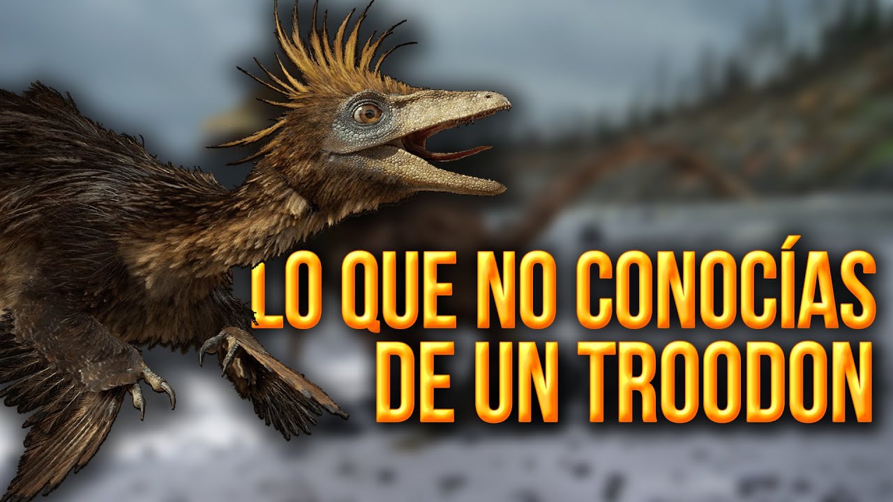 Lo que no conocías de un Troodon - YouTube