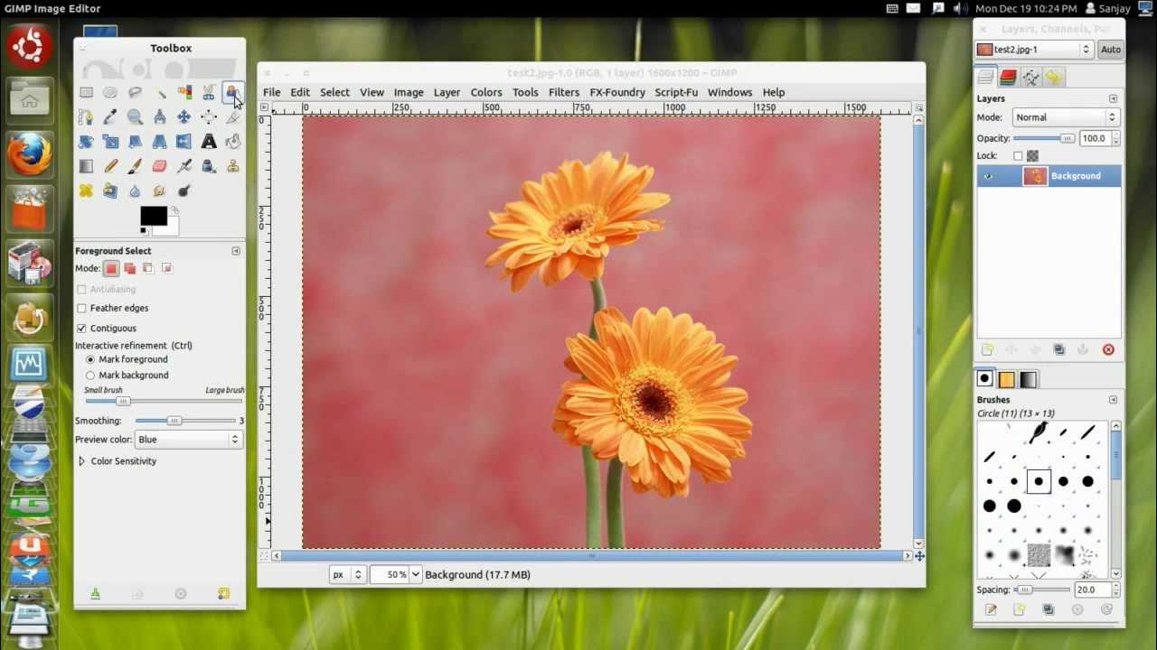 Gimp Tips: Foreground select Tool - YouTube