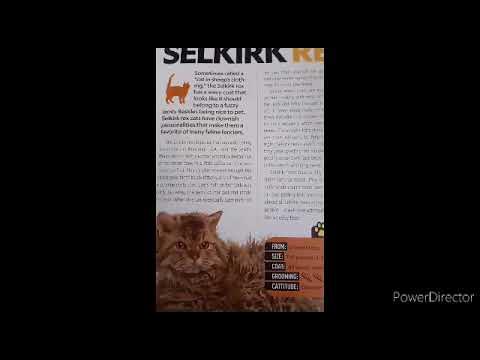 I'm Reading About My National Geographic Kids Cat Breed Guide Part 62 ...
