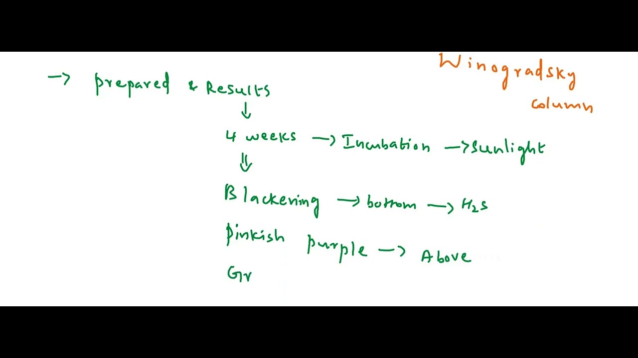Table 3: Experiment 3 Winogradsky Column Results Sample Location Week ...
